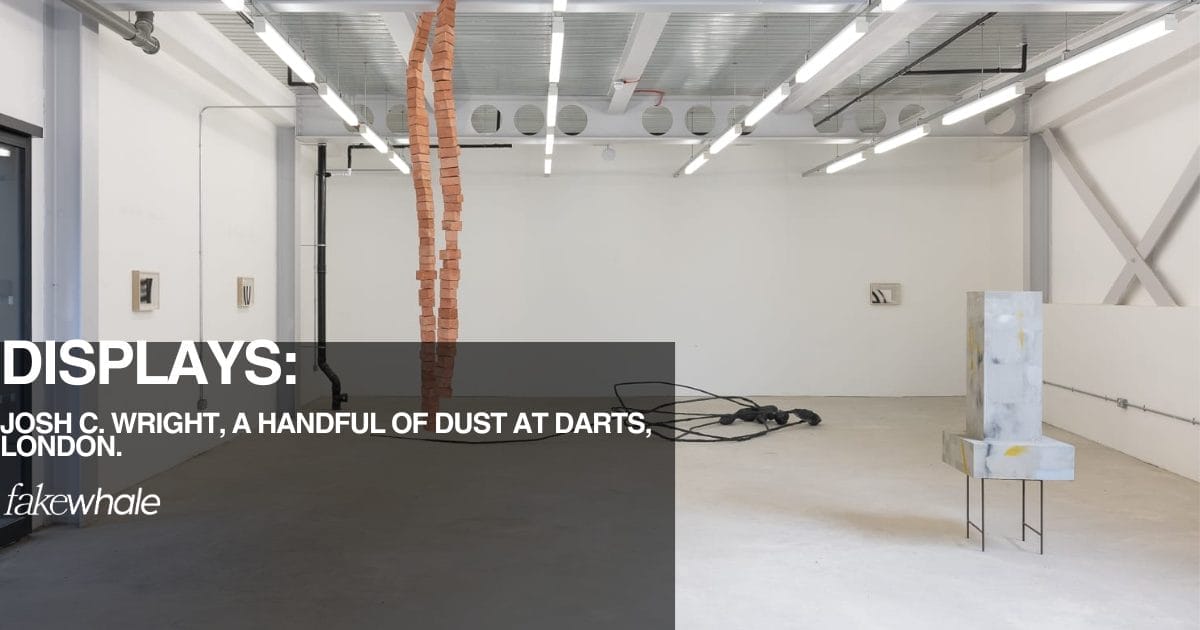 Josh C. Wright, A Handful of Dust at dArts, London - Fakewhale LOG